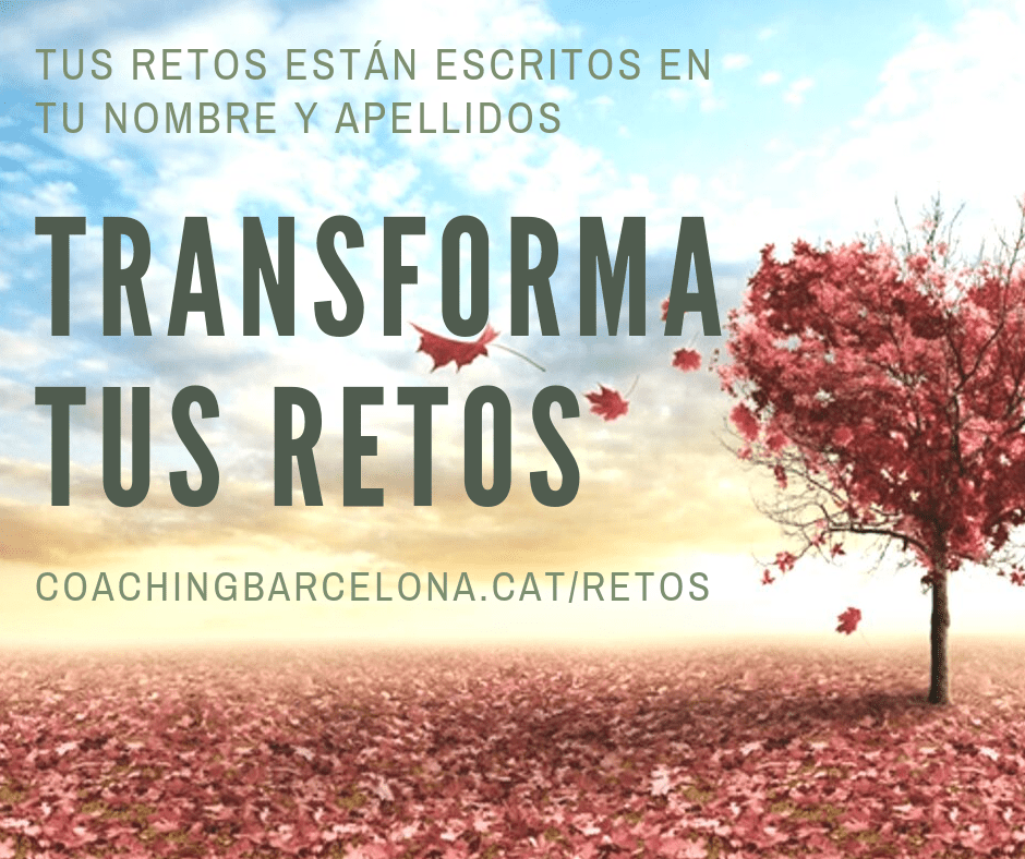 Descubre Tu Principal Reto O Aprendizaje Vital